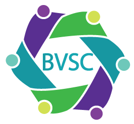 Single Point of Contact Administrator | Bexley Voluntary Service Council
